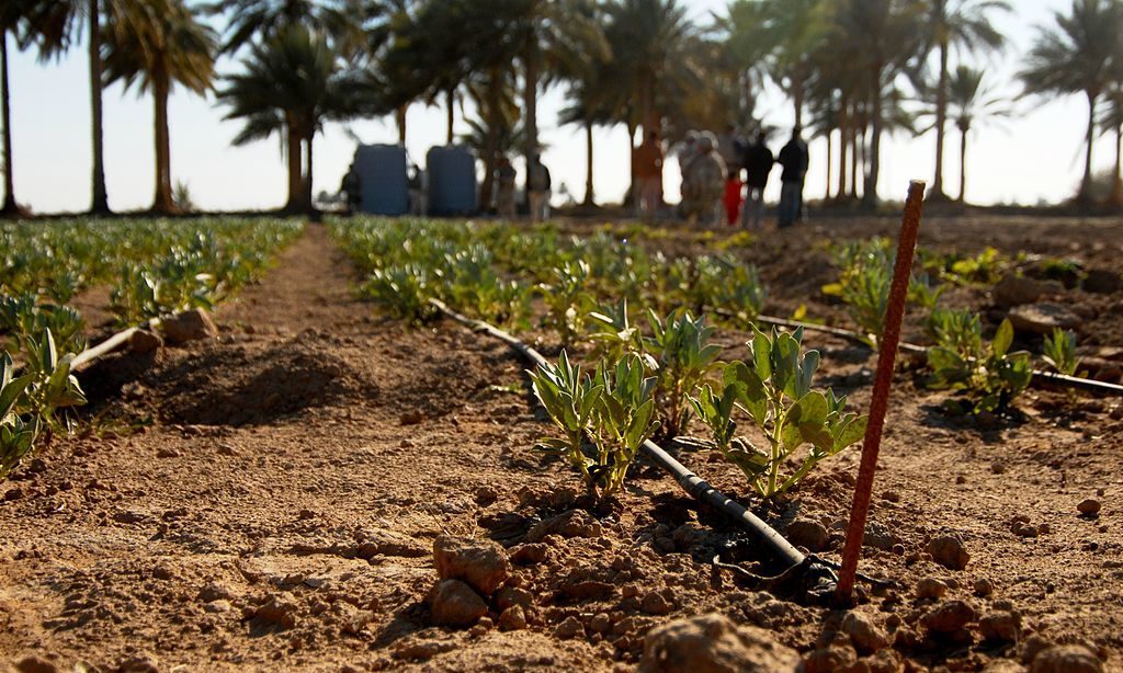 BP is exacerbating climate change in Iraq – www.behindthelogos.org